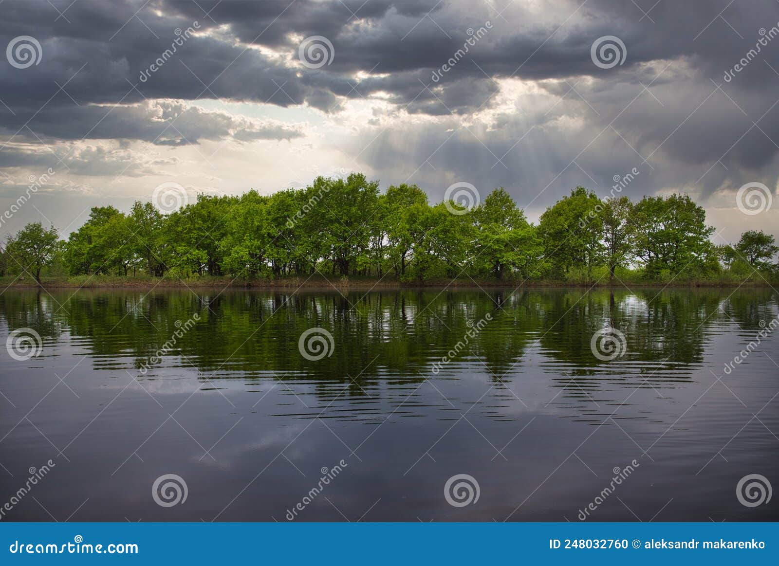 Spring on the Forest River Young Greenery Over the Water Stock Photo ...