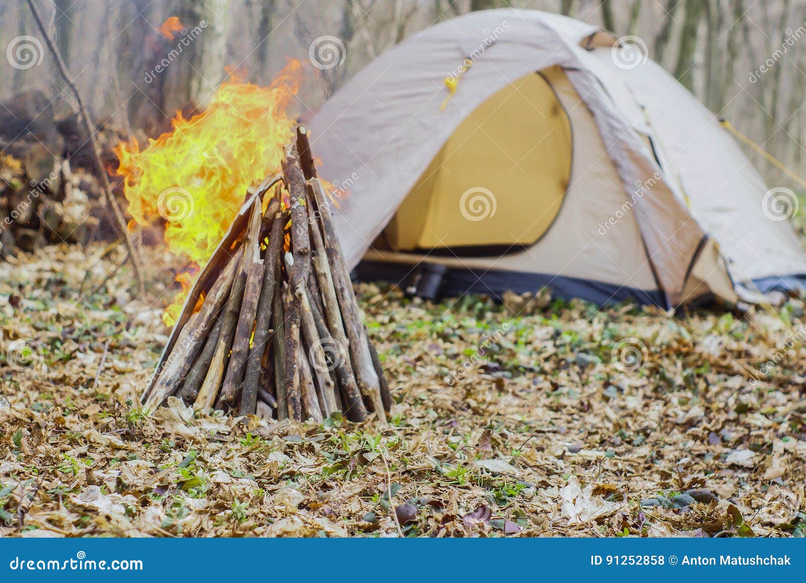 In the Spring Forest a Tent with a Fire a Stock Photo - Image of ...
