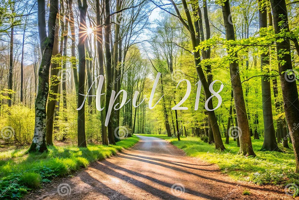 Spring Forest Walk in April Stock Illustration - Illustration of nature ...