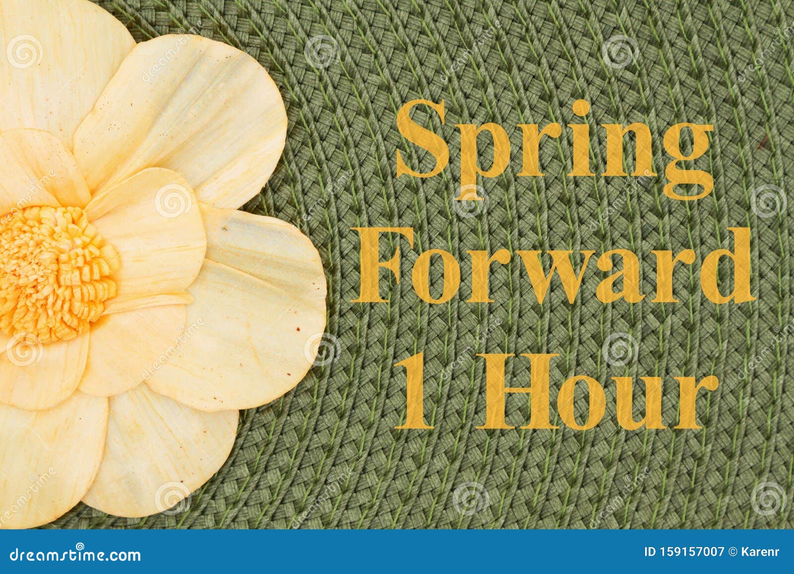 Spring Forward Message with a Flower on Olive Green Fabric Material ...