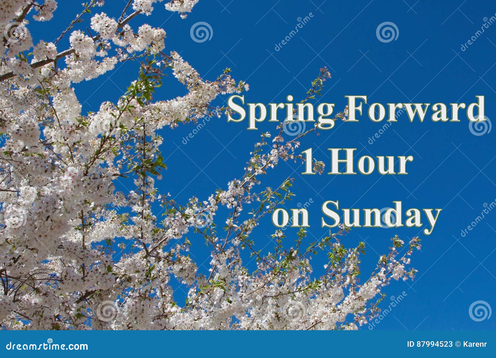 Spring Forward message stock image. Image of daylight - 87994523