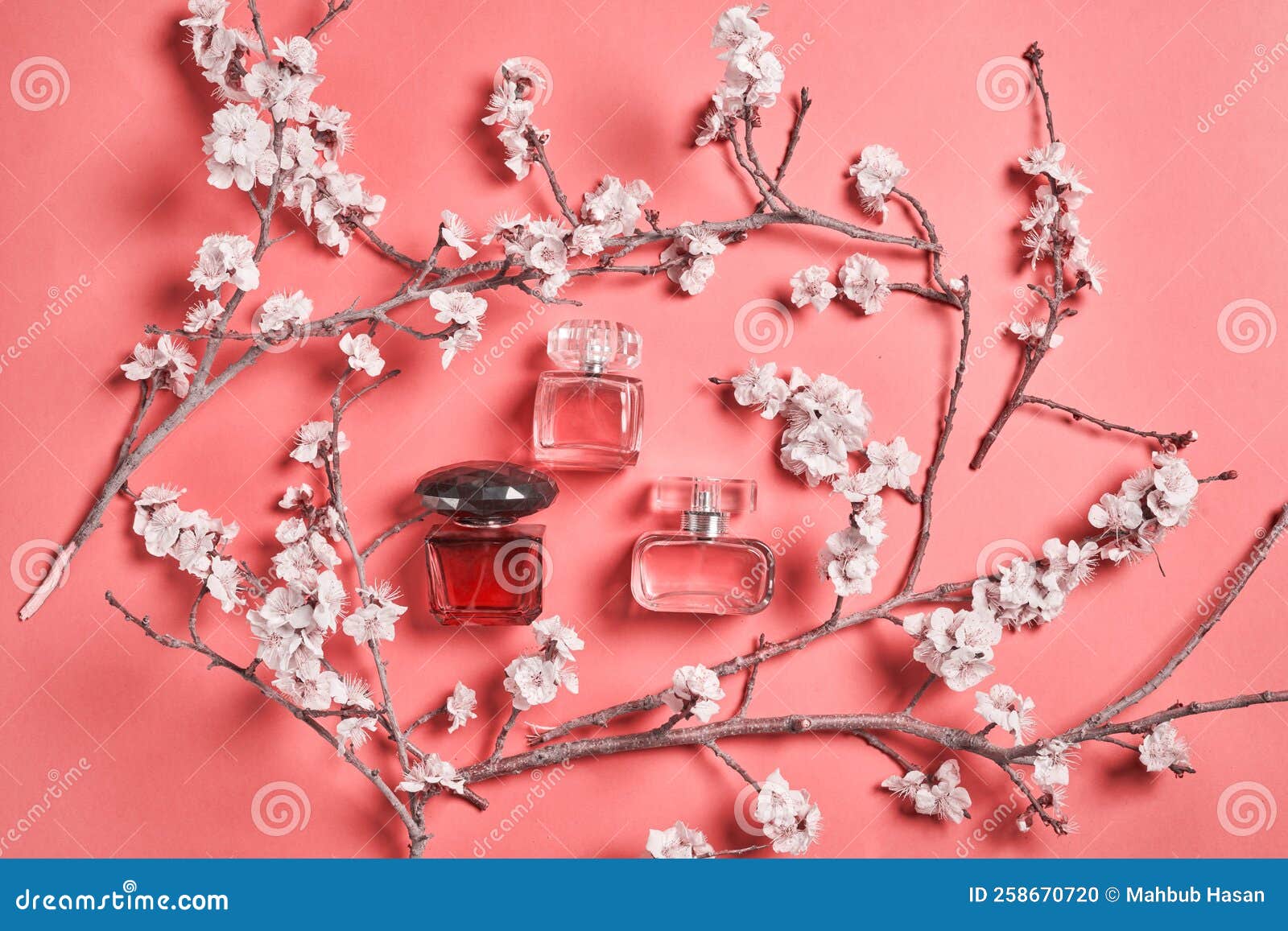 Spring Fragrances and Perfumes Stock Photo - Image of aroma, march ...
