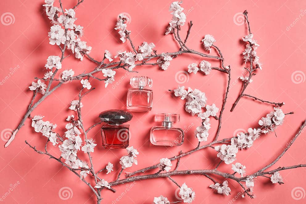 Spring Fragrances and Perfumes Stock Photo - Image of aroma, march ...