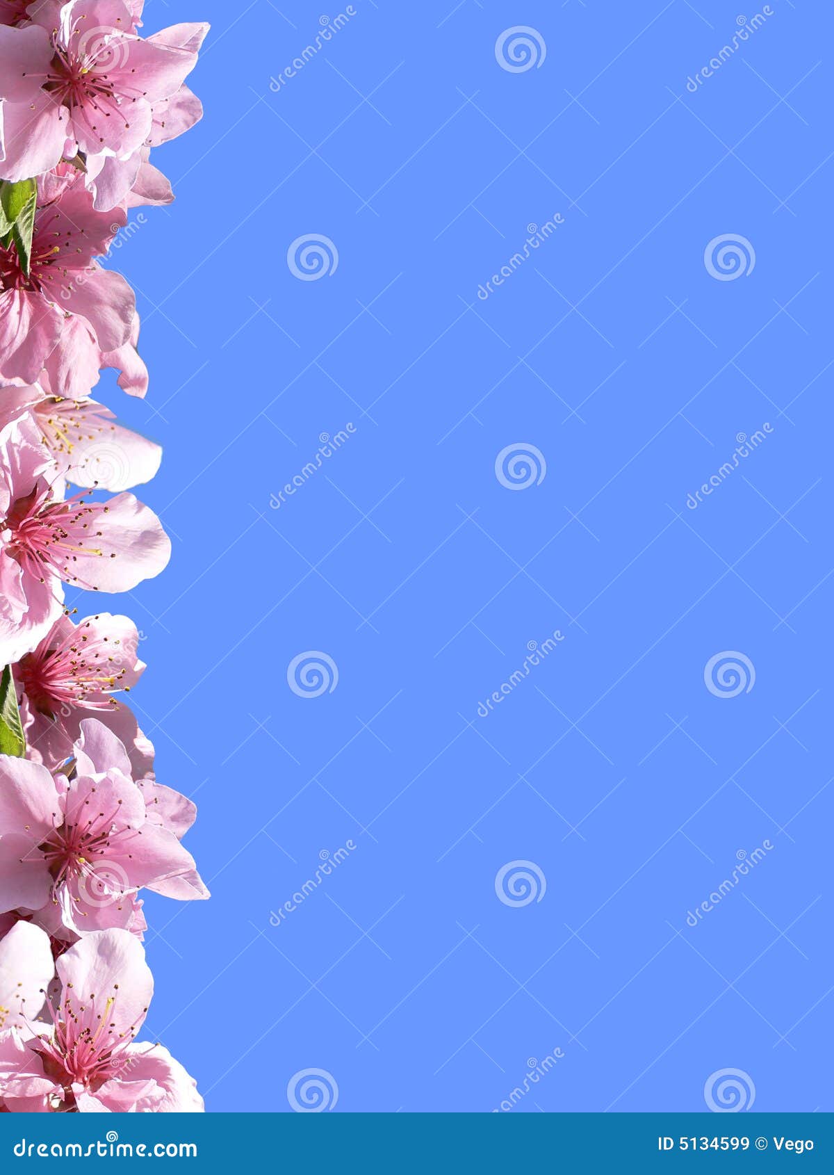 Spring frame stock image. Image of decor, alpine, holiday - 5134599
