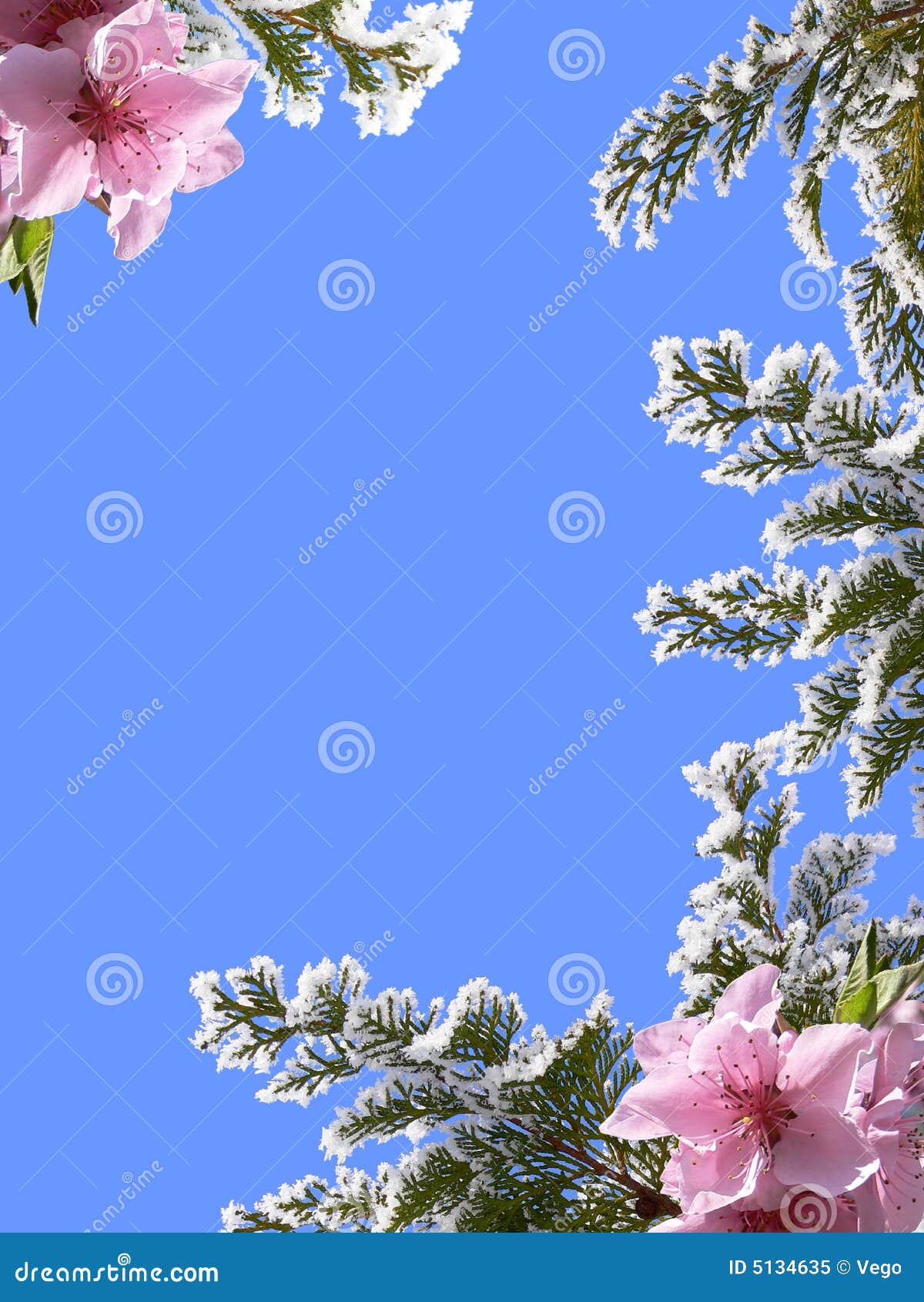 Spring frame stock image. Image of evergreen, flower, celebration - 5134635