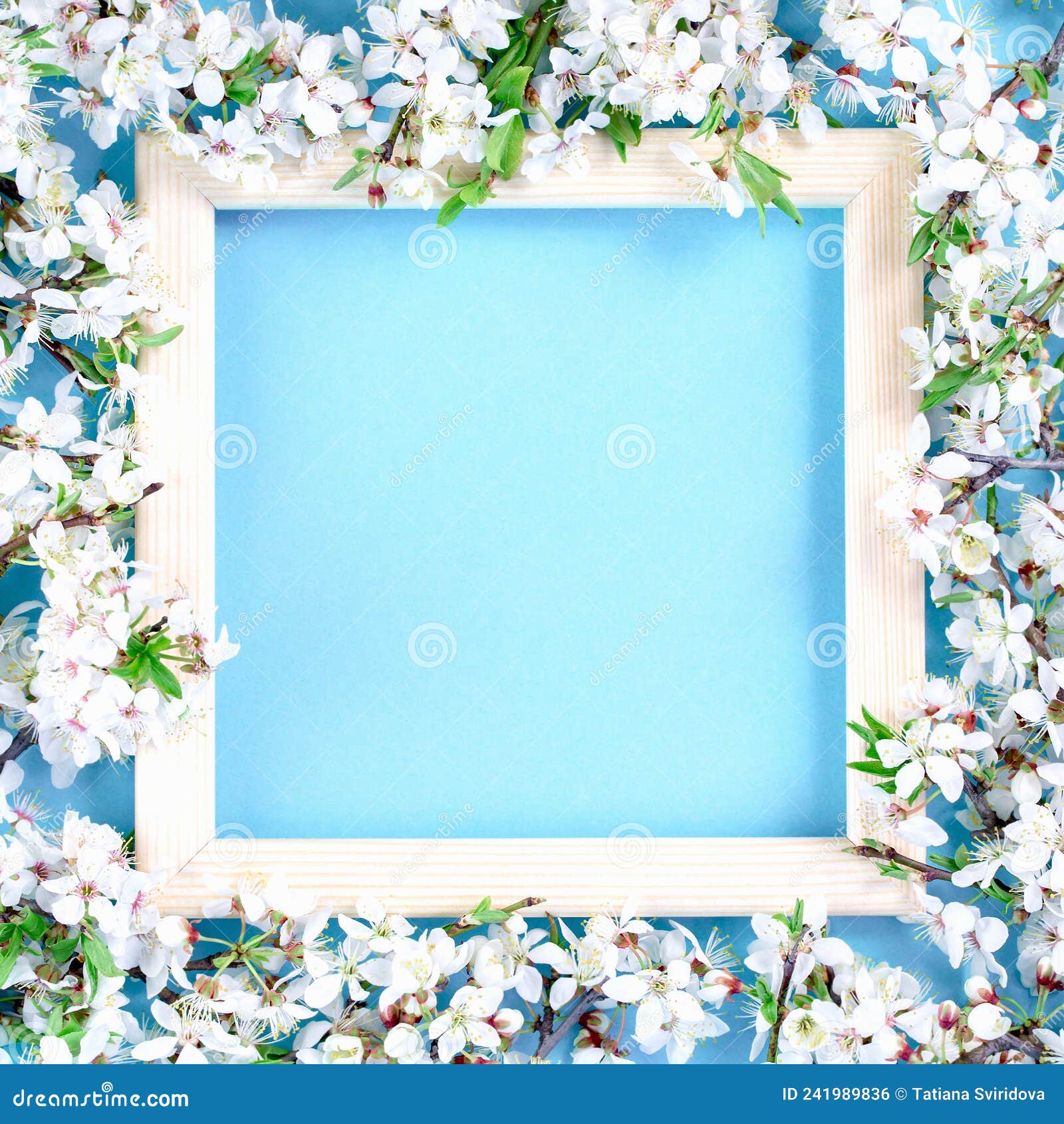 Spring Frame Banner, Branches of Blossoming Fruit Tree on Blue Stock ...