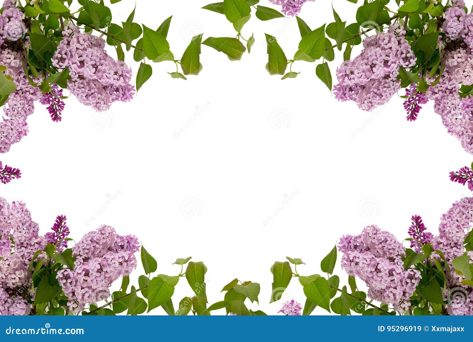 Spring Frame with Lilac Flower Stock Image - Image of floral, banner ...