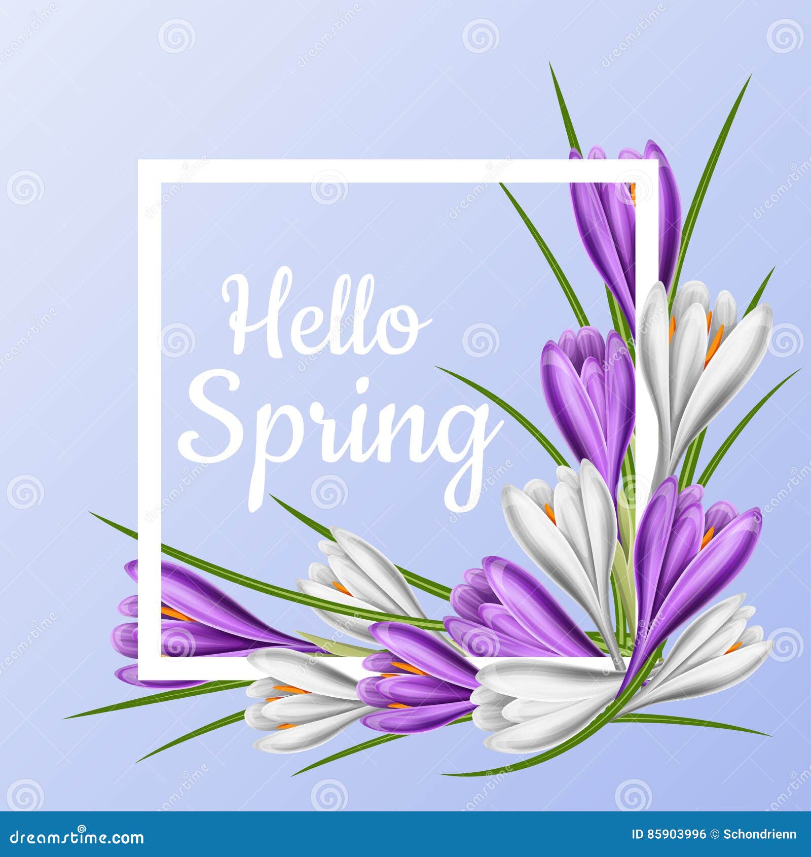 Crocus Flower Life Cycle Clipart, Watercolor Growing Stages Of Plant ...