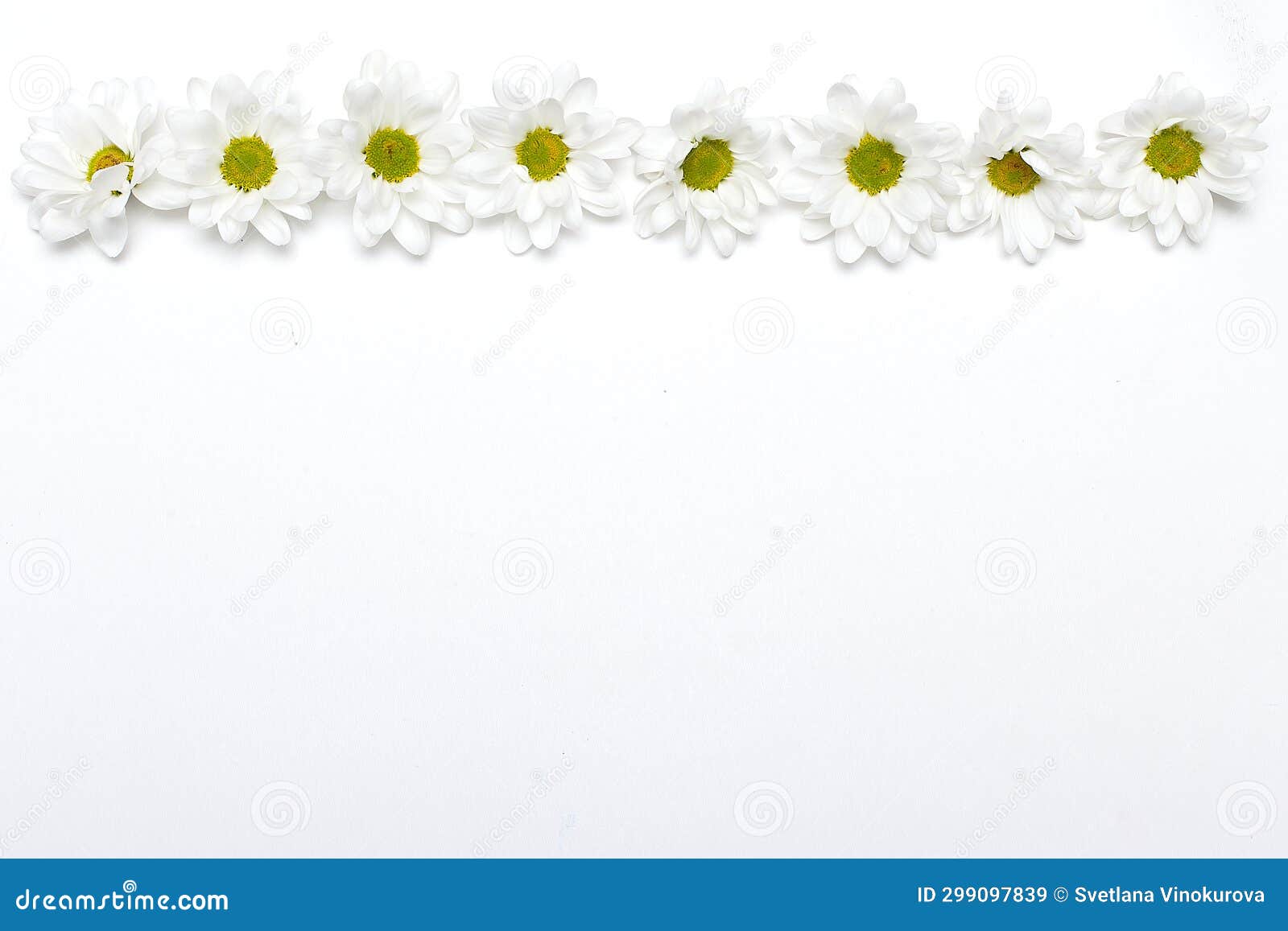 Spring Frame of Small Flowers and Daisy, Floral Arrangement. Stock ...