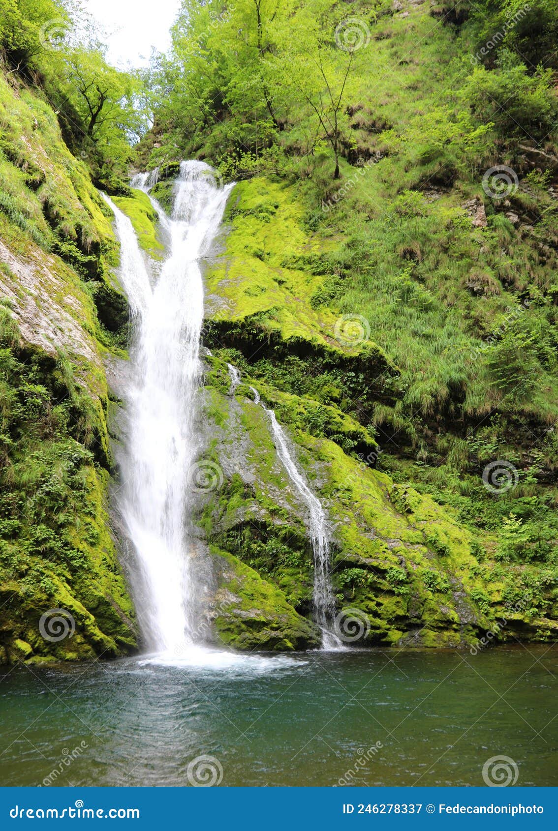 Spring of Fresh Water that Flows from the Rock and Falls into Th Stock ...