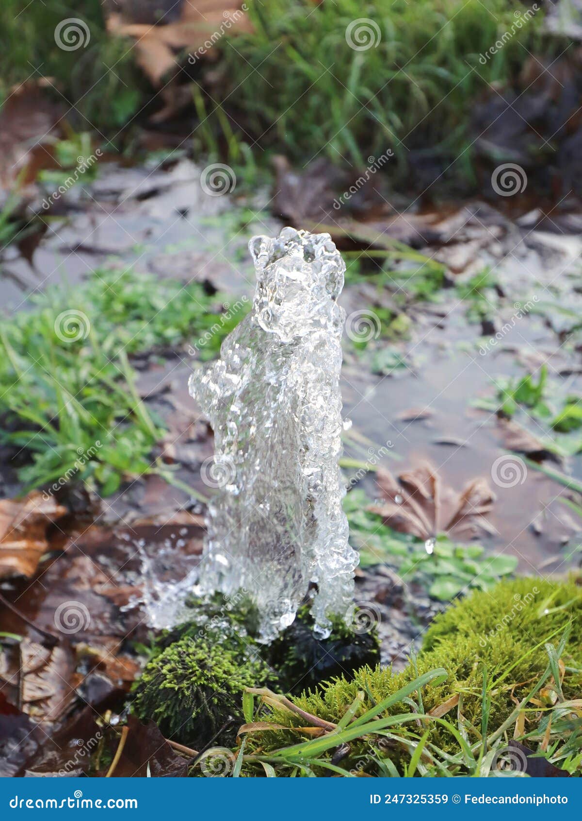 Spring Fresh Water that Gushes from the Ground from a Spring Stock ...