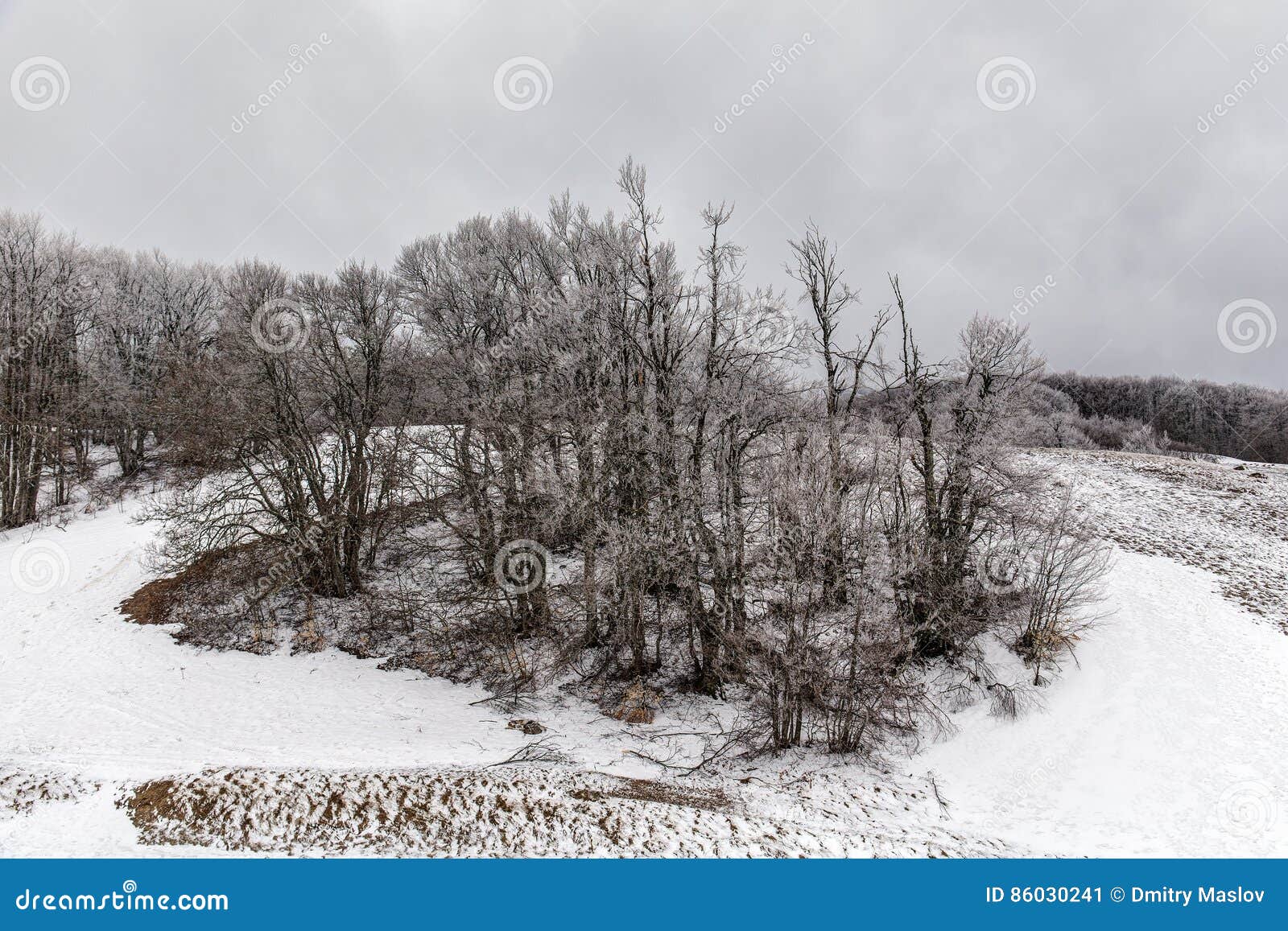 Spring Frost in the Mountains Stock Image - Image of wilderness, snow ...