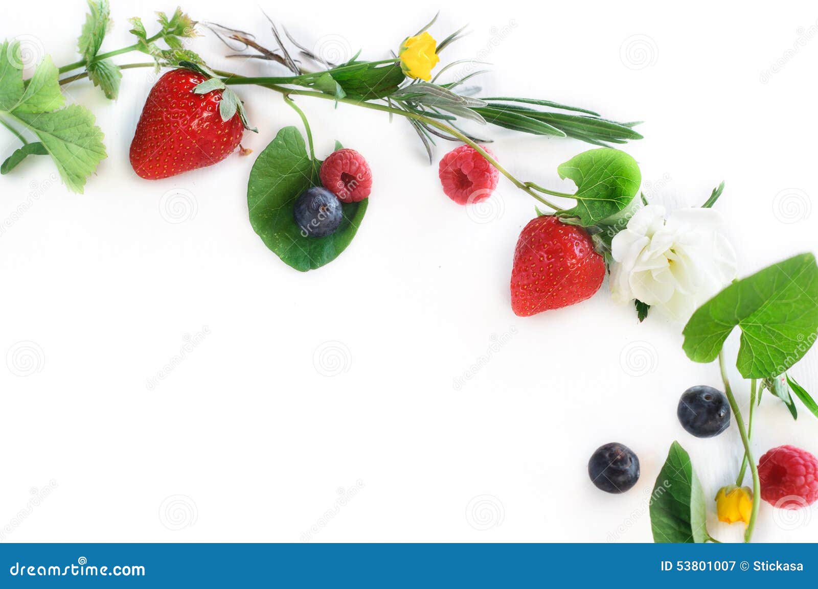 Spring Fruits and Flowers Garland Stock Image - Image of botanical ...