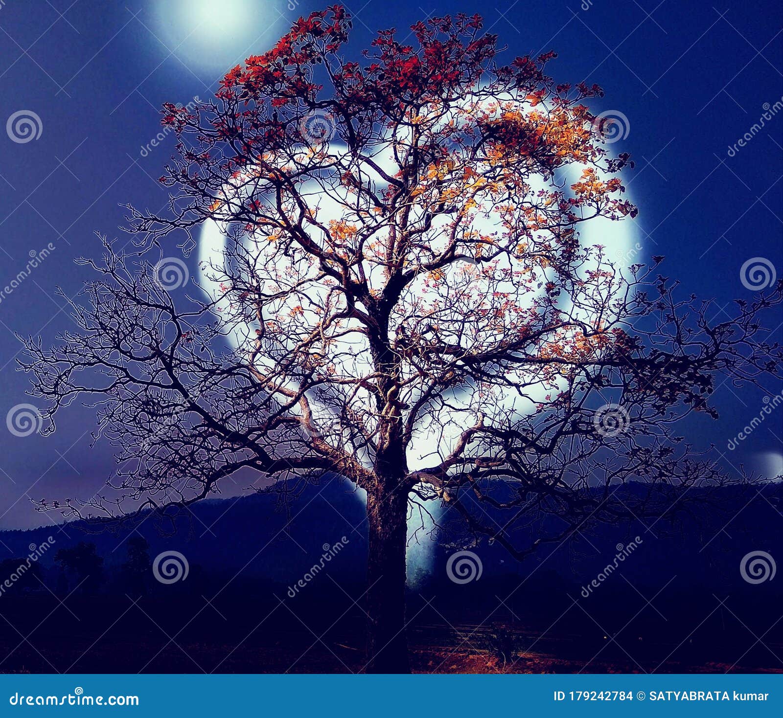 Spring Full Moon Night with Love. Stock Photo - Image of tree, blue ...