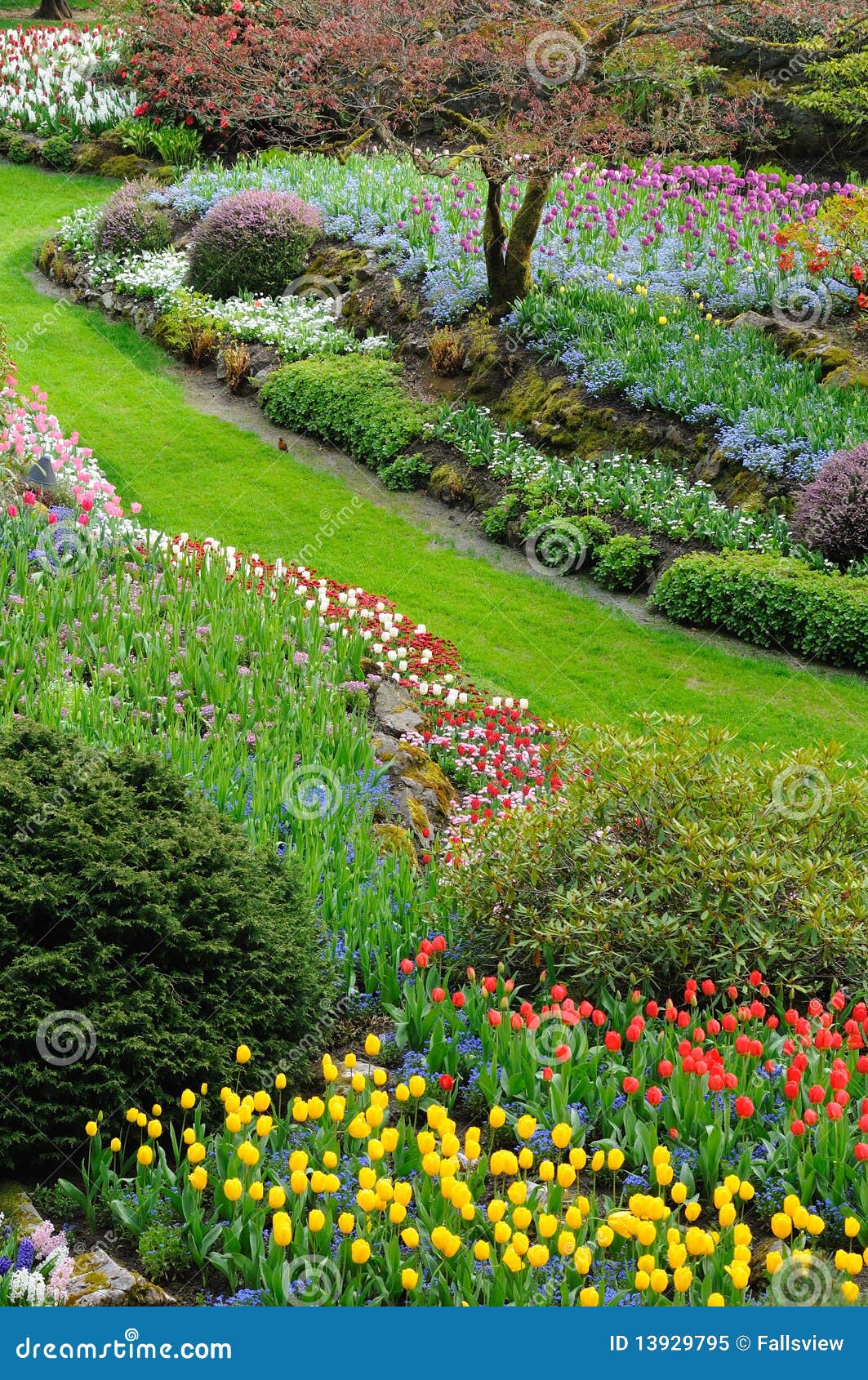 Spring garden stock image. Image of landscape, bloom - 13929795