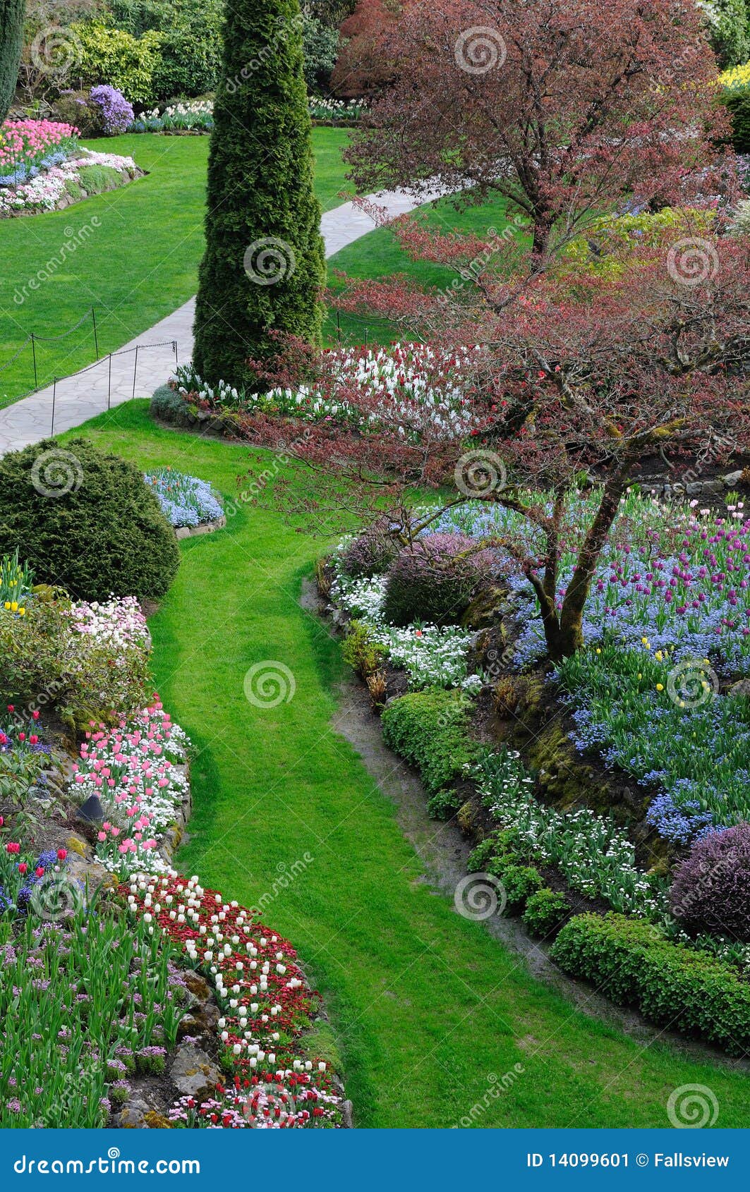 Spring garden stock image. Image of colors, flowers, color - 14099601