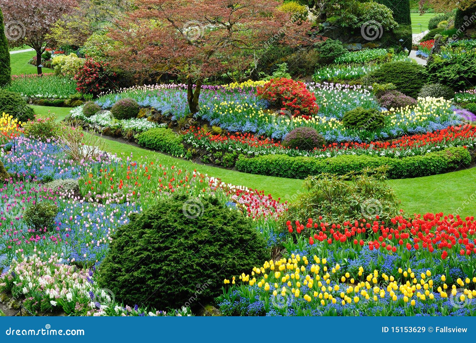 Spring garden stock image. Image of flower, lawn, island - 15153629