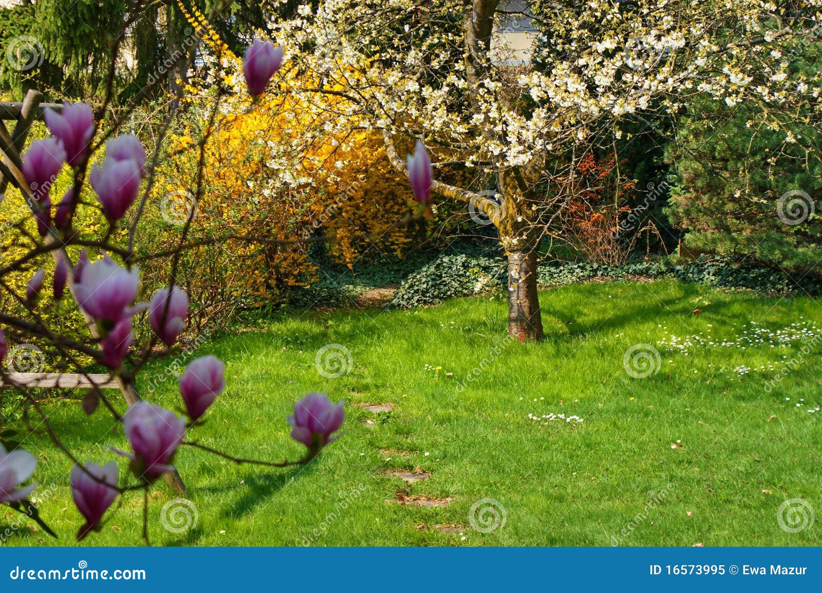 183 Springtime Vibes Photos - Free & Royalty-Free Stock Photos from ...