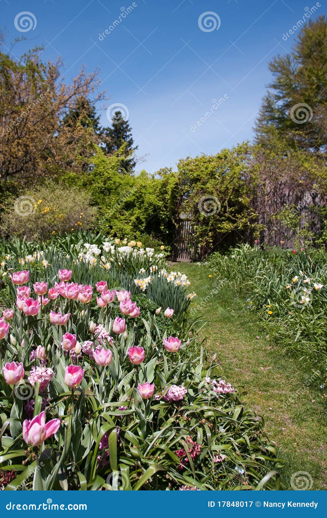 Spring Garden stock image. Image of bloom, beautiful - 17848017