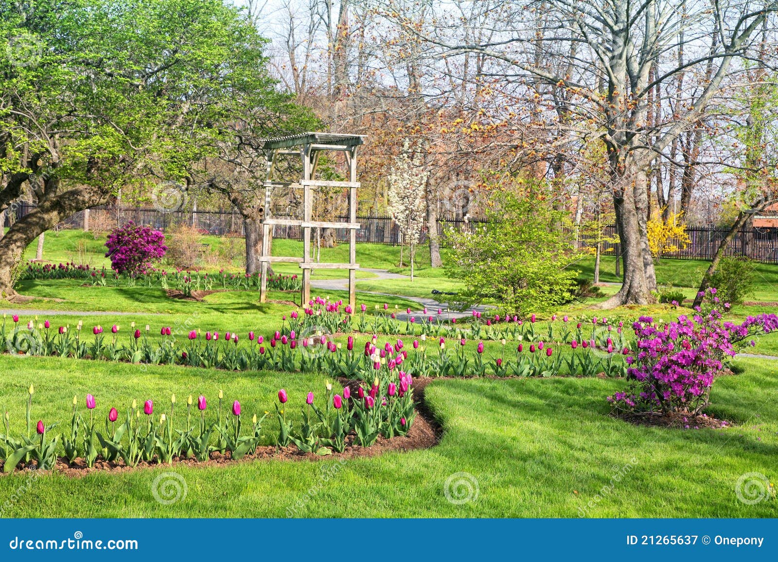 Spring Garden stock image. Image of spring, rocky, pink - 21265637