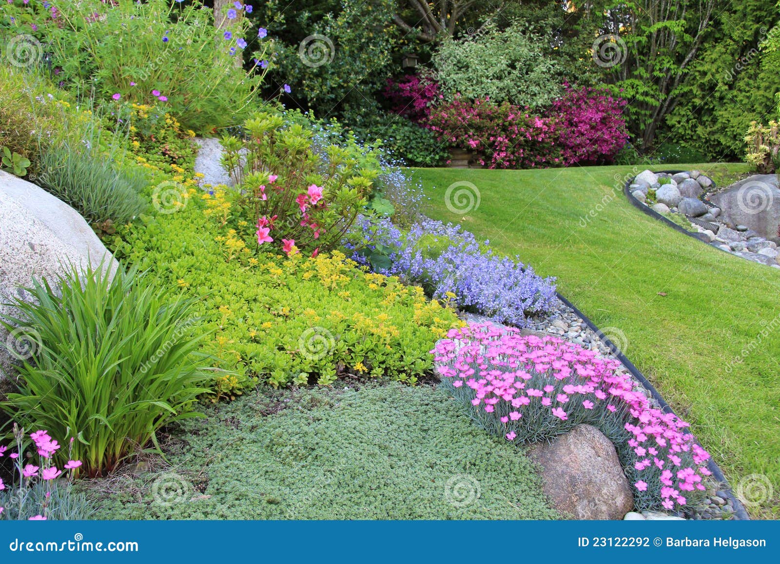 Spring garden stock photo. Image of grass, lilac, ears - 23122292