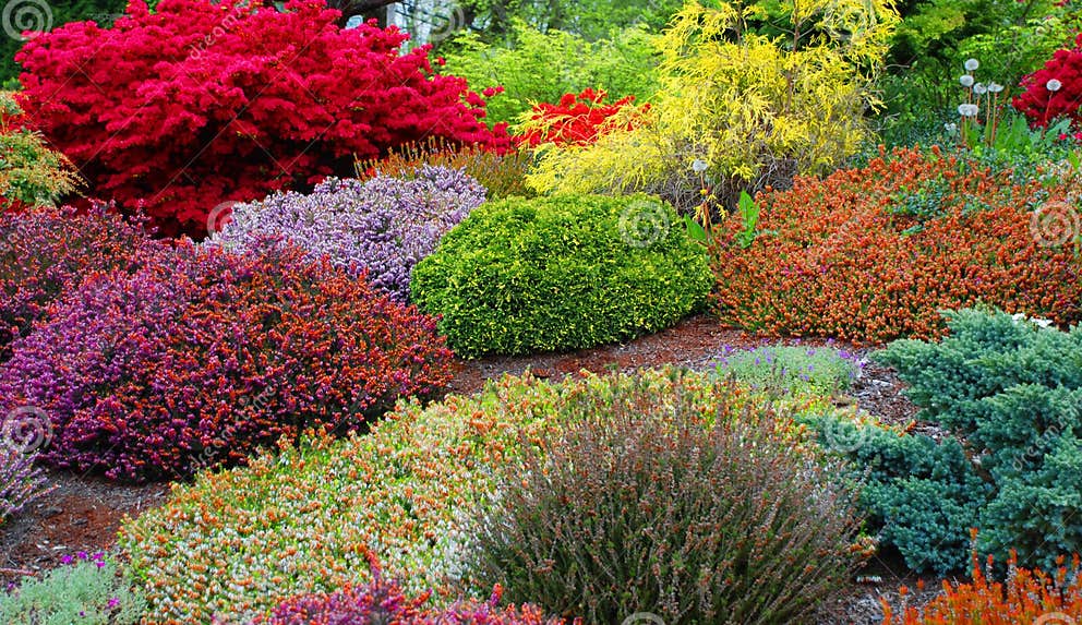 Spring Garden stock image. Image of gardening, foliage - 5131203