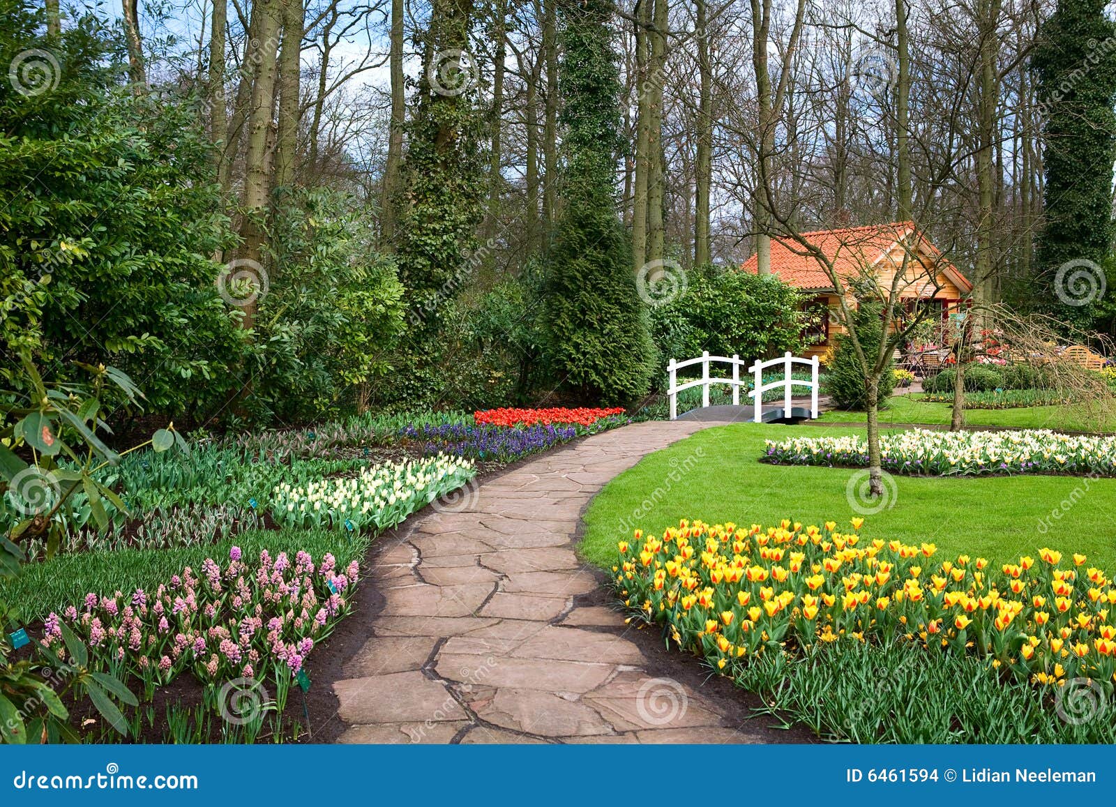 Spring garden stock photo. Image of colored, indiana, journey - 6461594