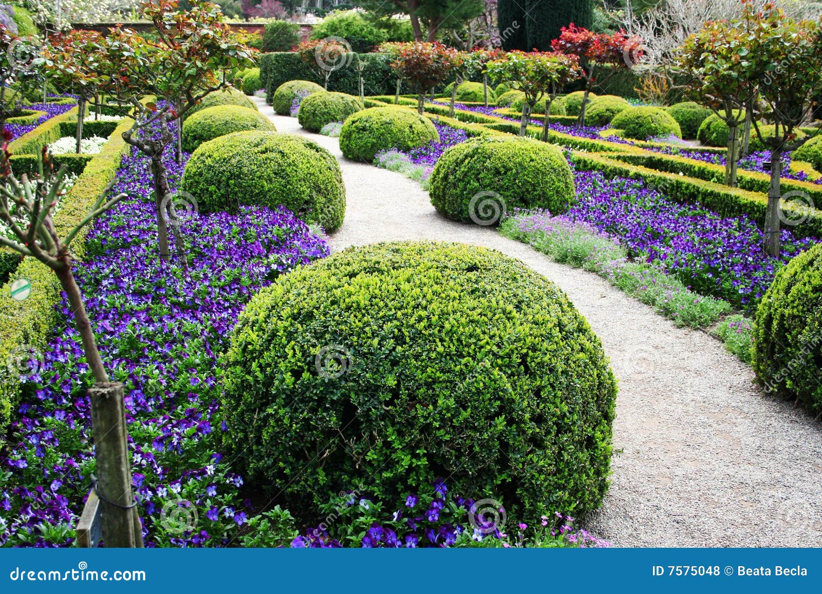 Spring garden stock photo. Image of green, floral, blooming - 7575048