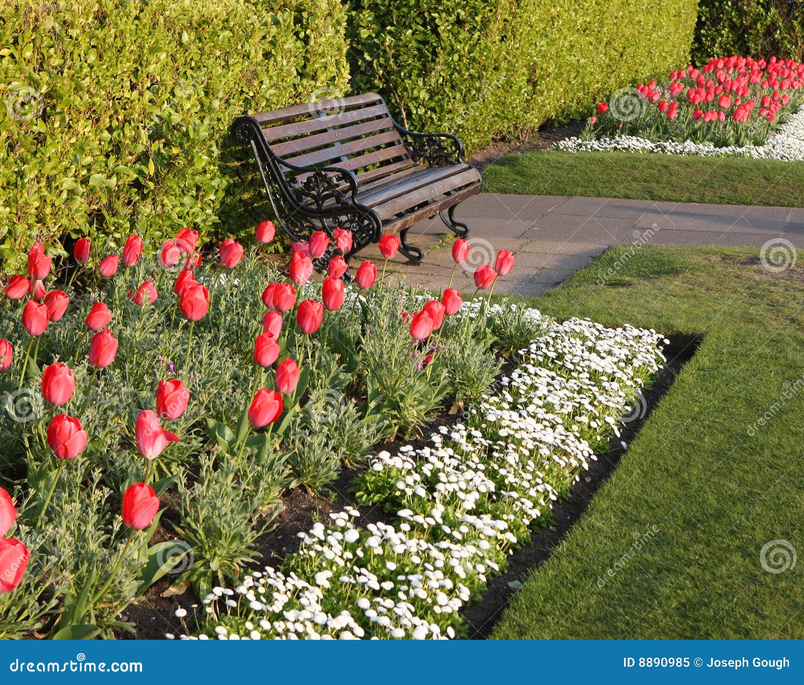 Spring Garden Border stock image. Image of horticulture - 8890985