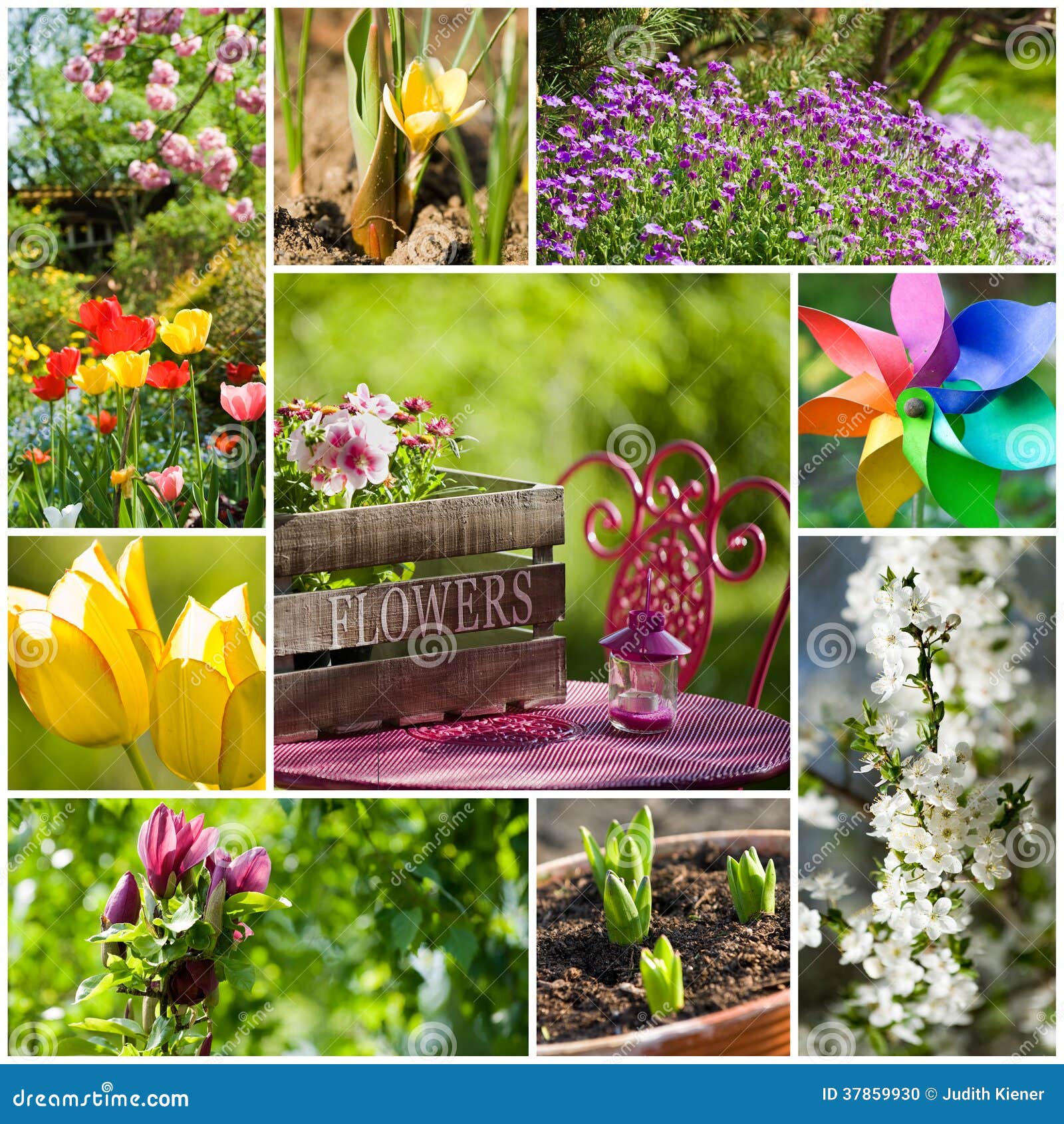 Spring garden collage stock photo. Image of flowers, tulips - 37859930