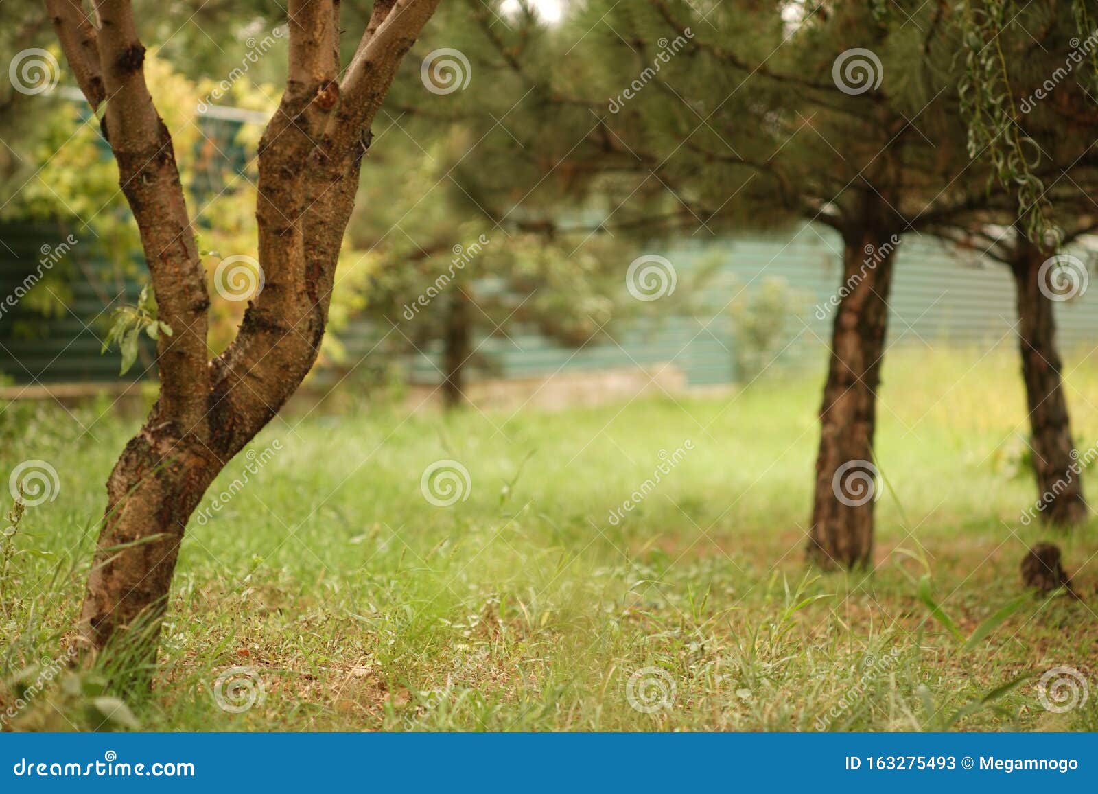 Spring Garden with Different Trees on a Cloudy Day Stock Image - Image ...