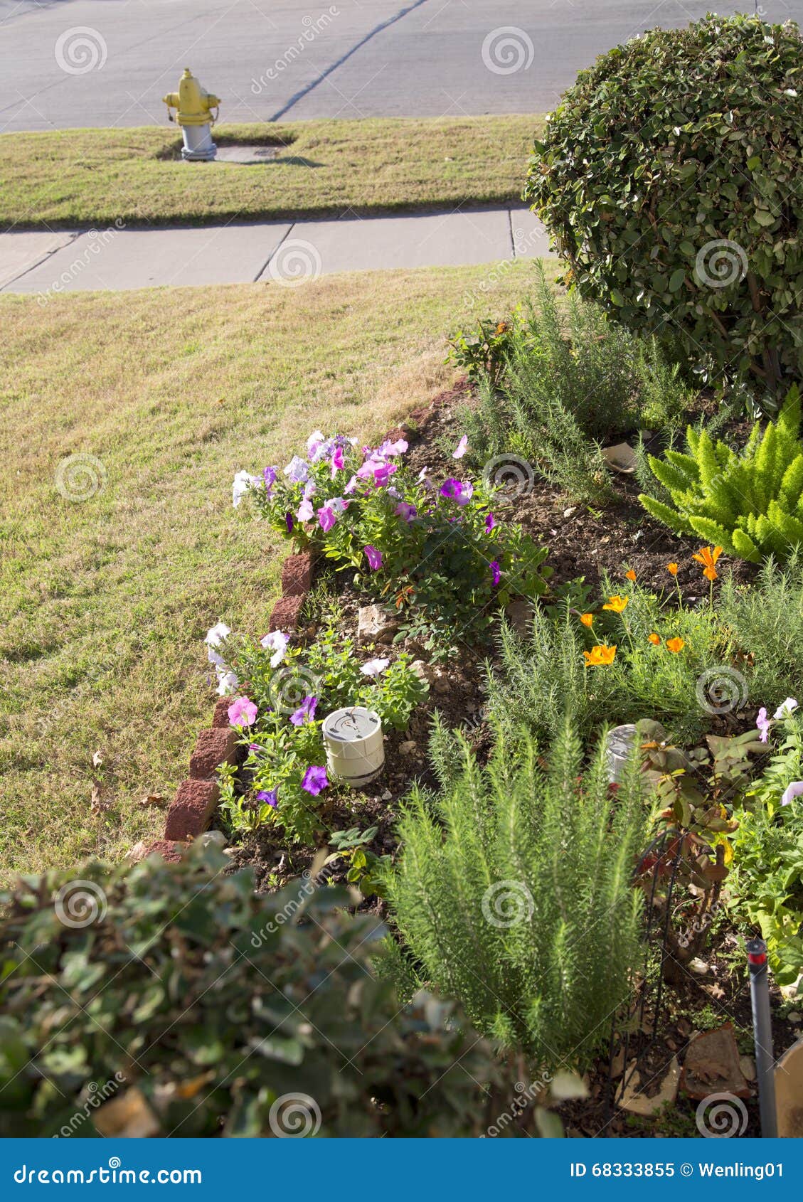 Spring Garden in Front Yard Stock Image - Image of outdoor, entrance ...