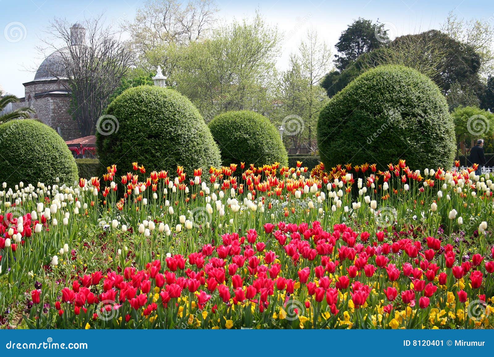 Spring garden in Istanbul stock image. Image of asia, dome - 8120401