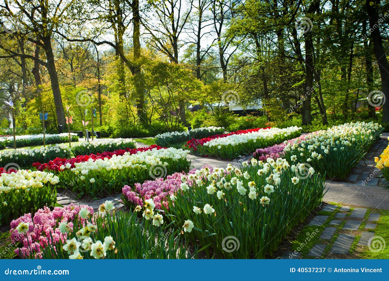 Spring garden landscape stock image. Image of floral - 40537237