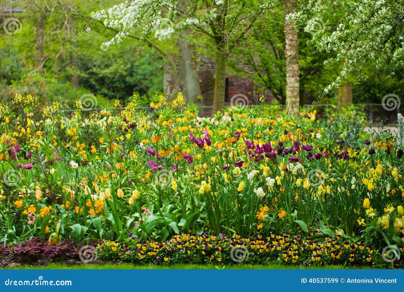 Spring garden landscape stock image. Image of park, grass - 40537599