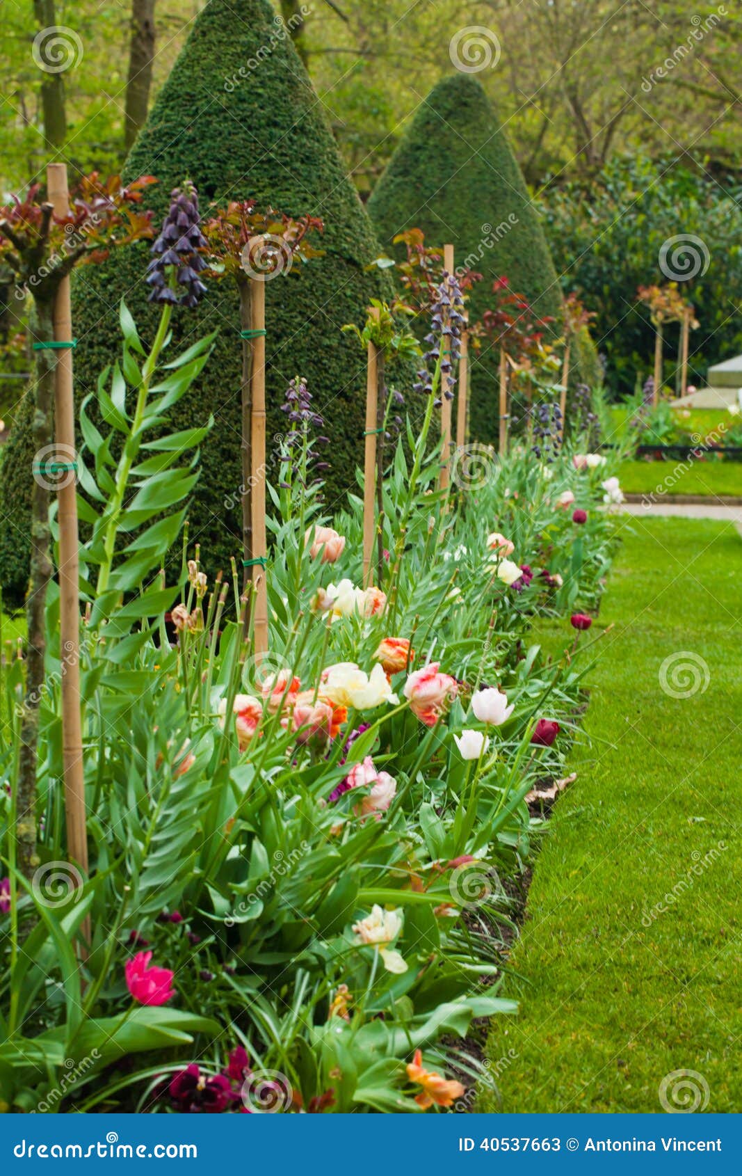 Spring garden landscape stock image. Image of botany - 40537663