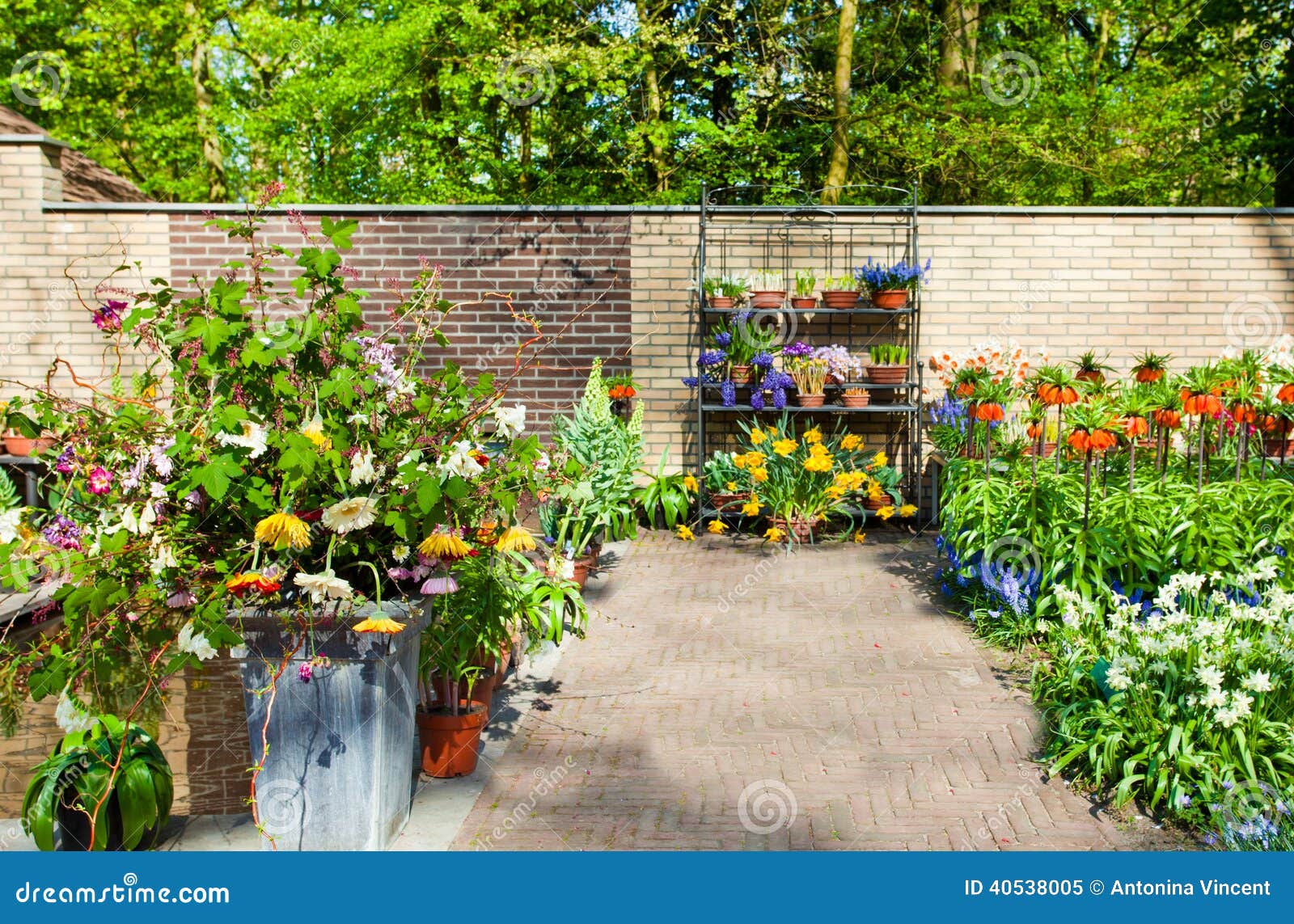 Spring garden landscape stock image. Image of bulb, nature - 40538005