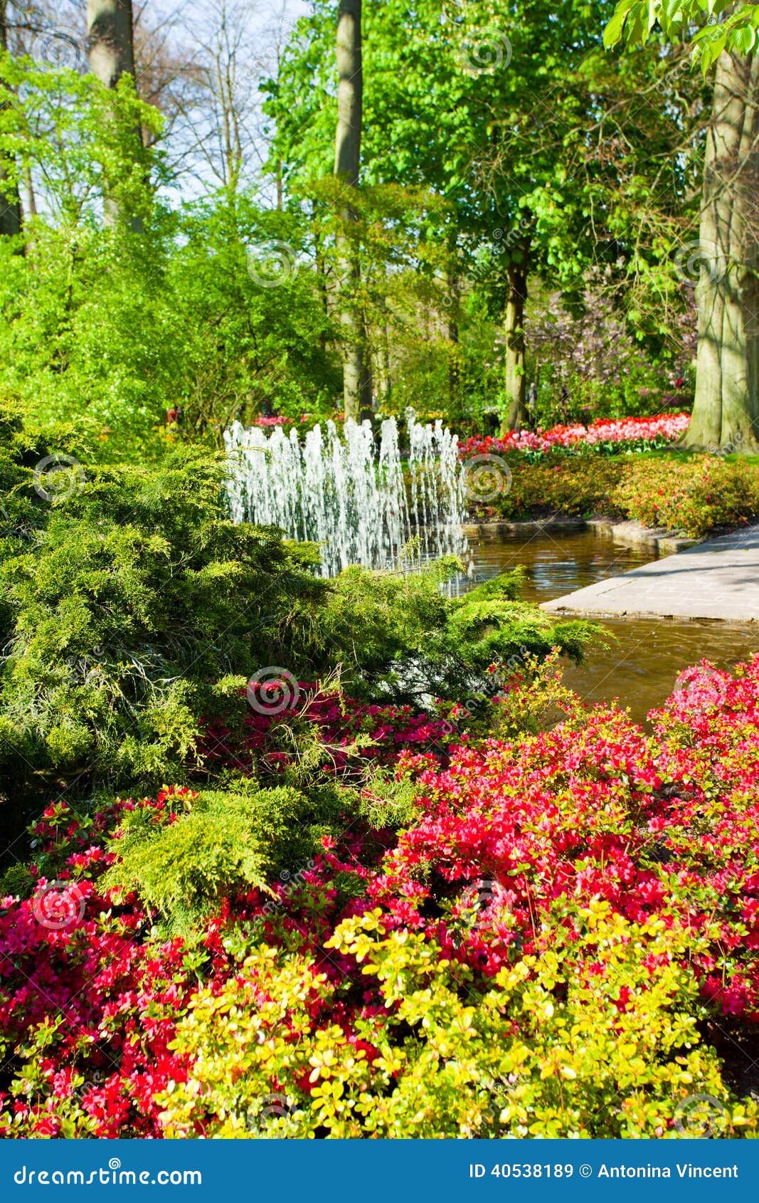 Spring garden landscape stock image. Image of botany - 40538189