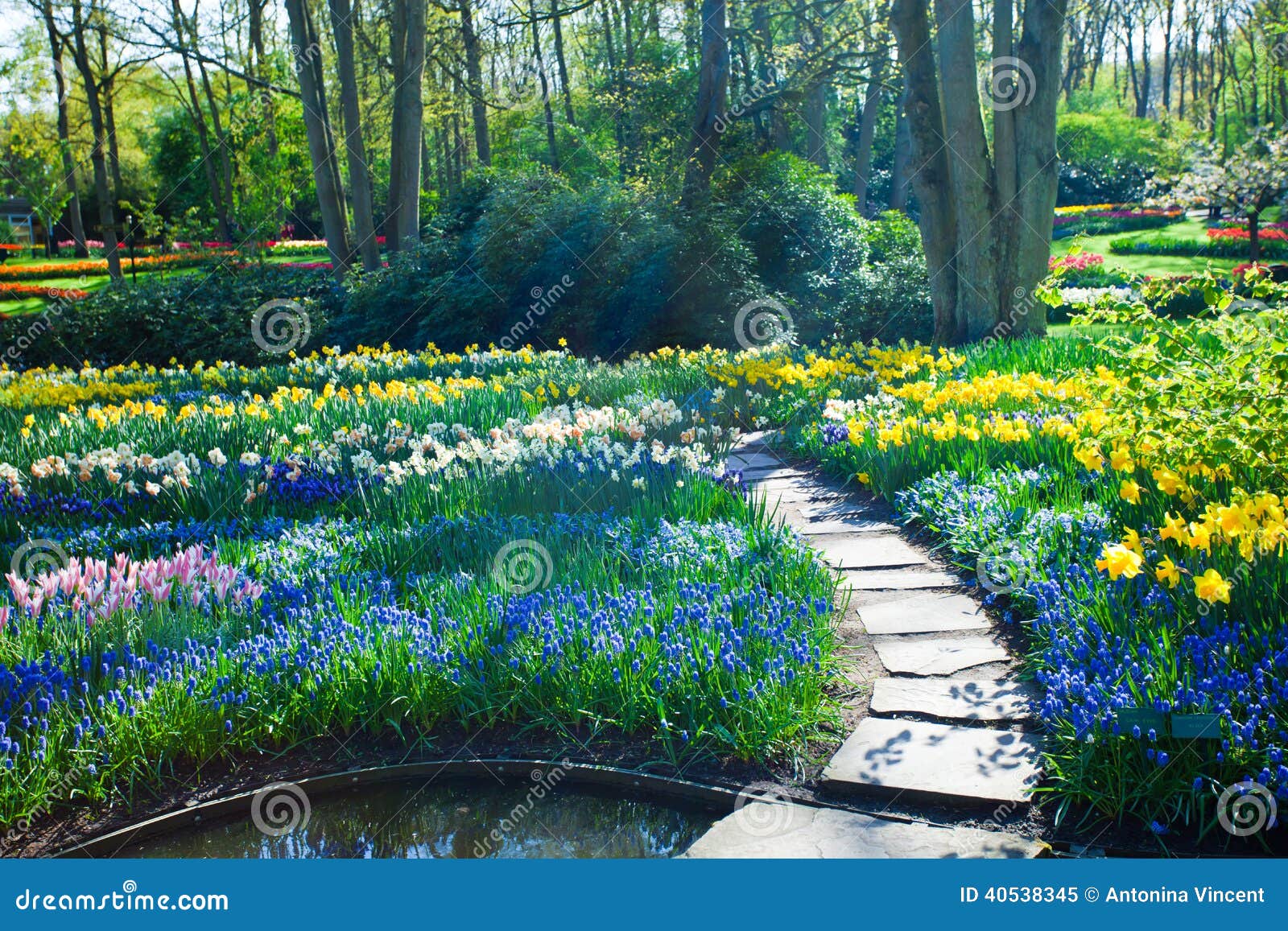 Spring garden landscape stock image. Image of flowers - 40538345