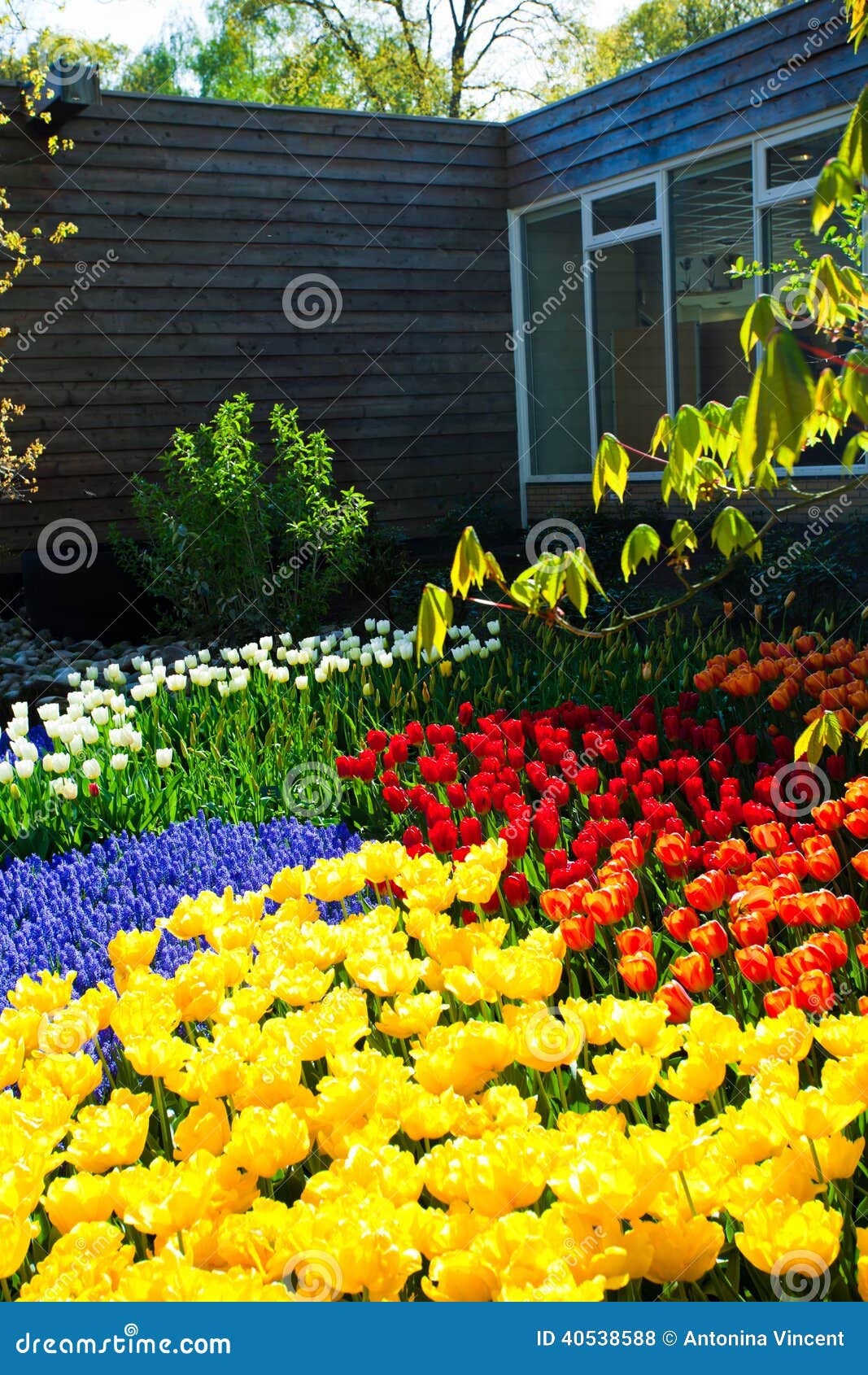 Spring garden landscape stock photo. Image of lush, green - 40538588