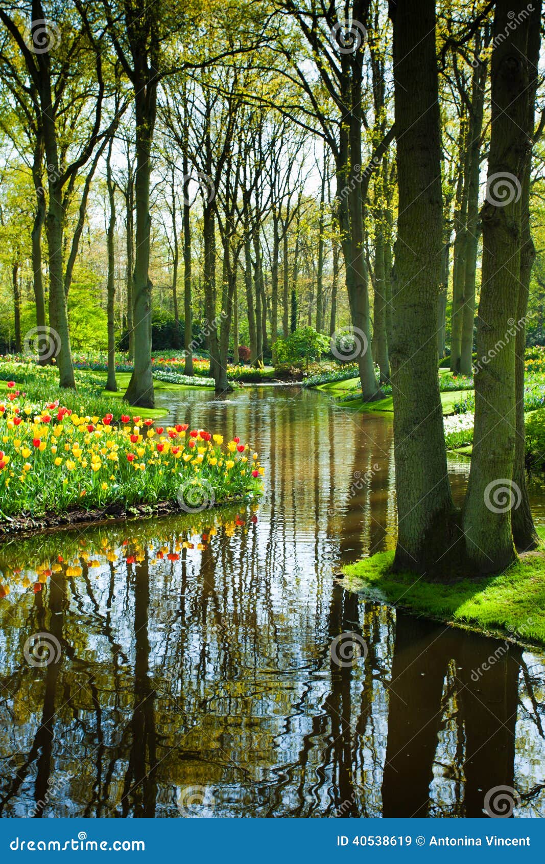 Spring garden landscape stock image. Image of plant, garden - 40538619