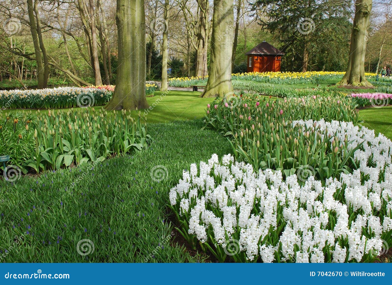 Spring Garden New Beginning Stock Photo - Image of agriculture, design ...