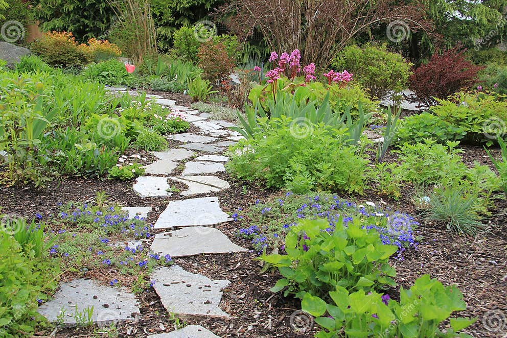 Spring garden path stock image. Image of flower, landscape - 24615175