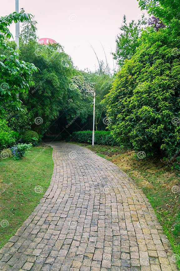 Spring garden path stock photo. Image of nature, tree - 314392138
