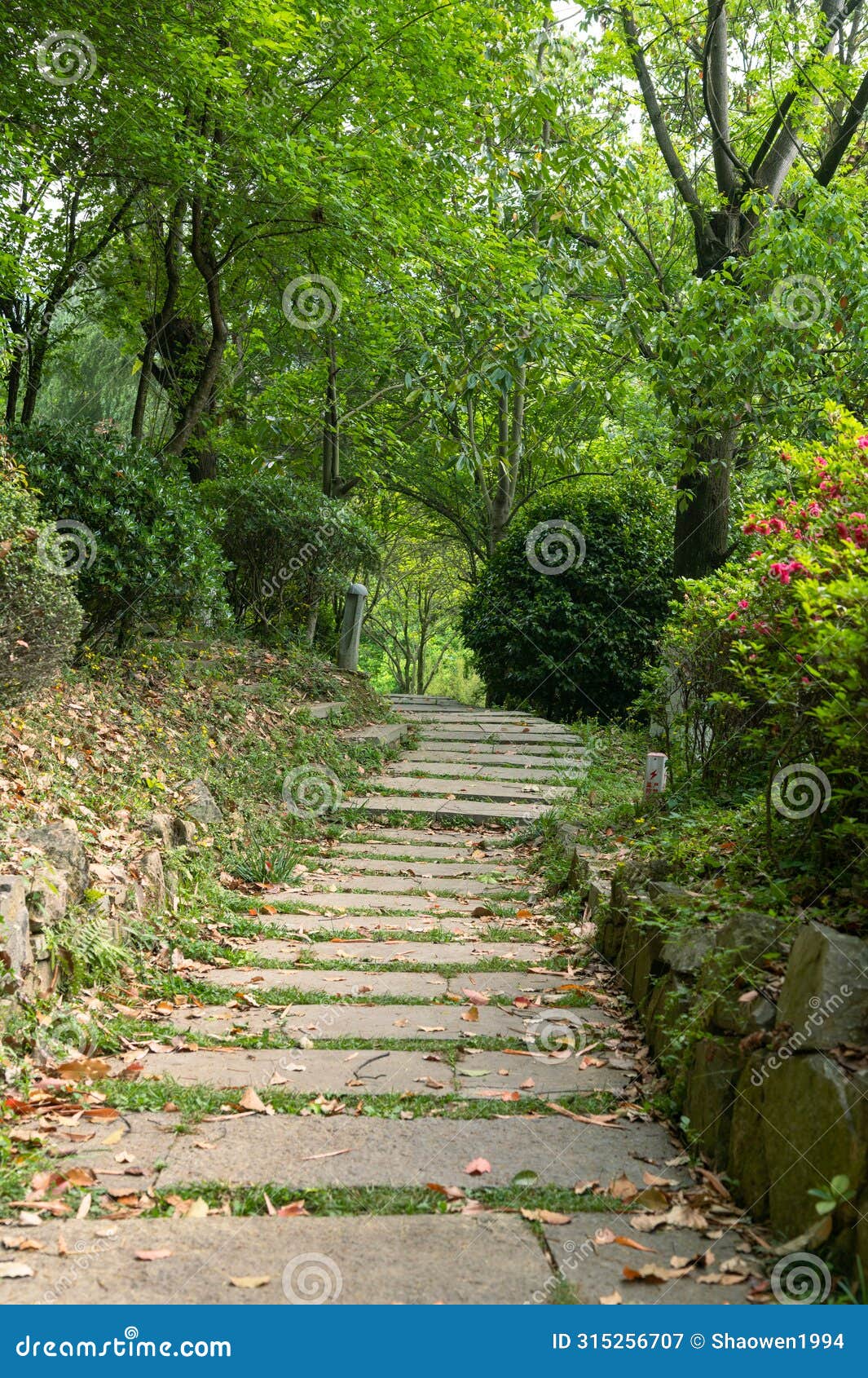 Spring garden path stock image. Image of tree, plant - 315256707