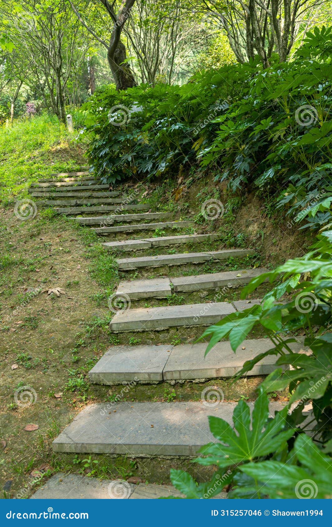 Spring garden path stock photo. Image of garden, road - 315257046