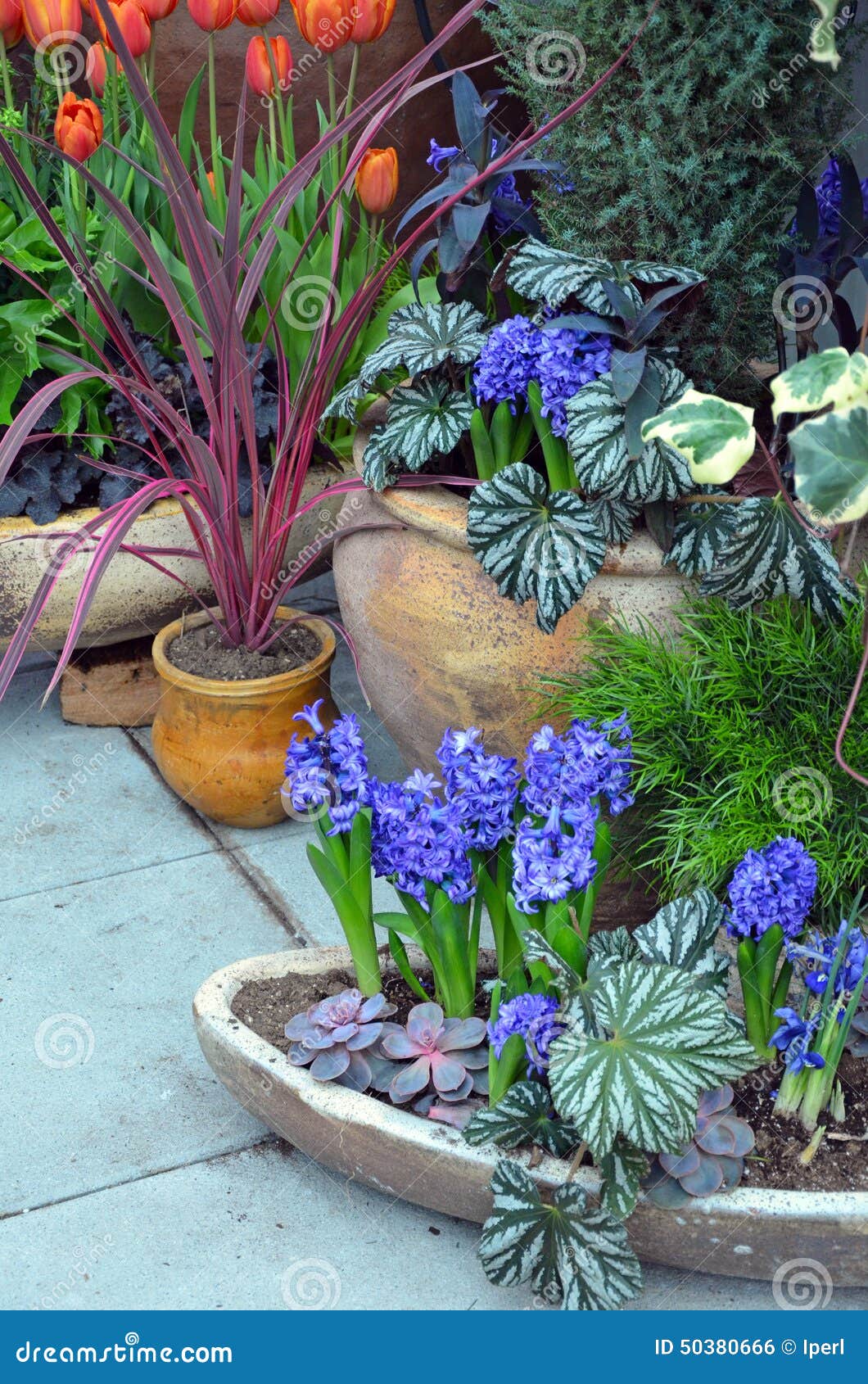 Spring garden patio stock photo. Image of gardening, blossoms - 50380666