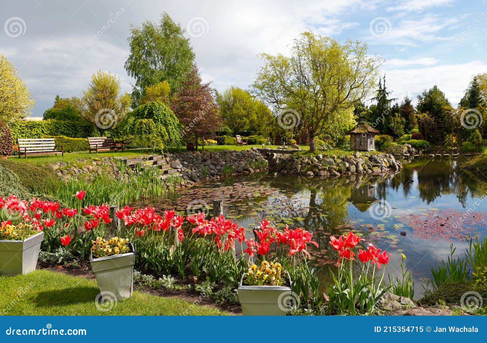 Spring garden with a pond stock image. Image of reflection - 215354715