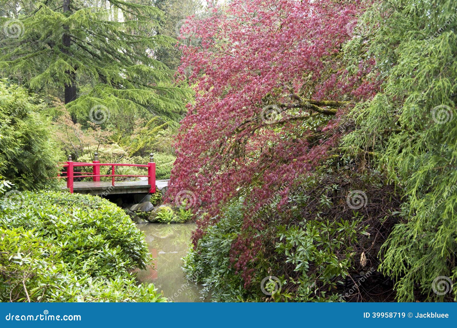 Spring garden after rain stock image. Image of rain, seattle - 39958719