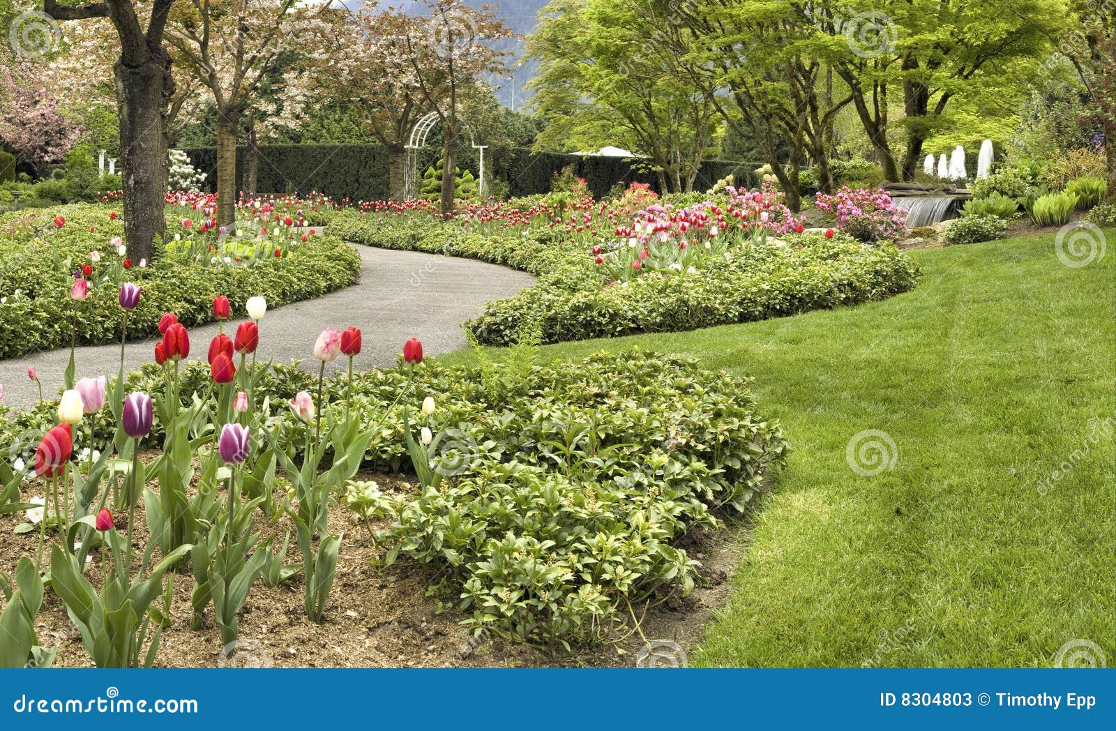 Spring garden scene stock image. Image of spring, flowers - 8304803